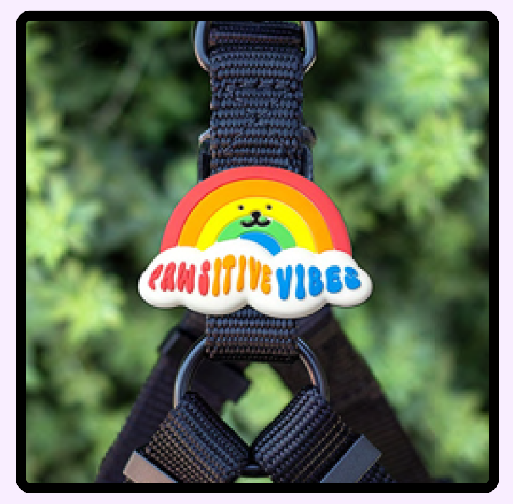 JIBY DOG CREW CHARM RAINBOW – Head to Tail Pets