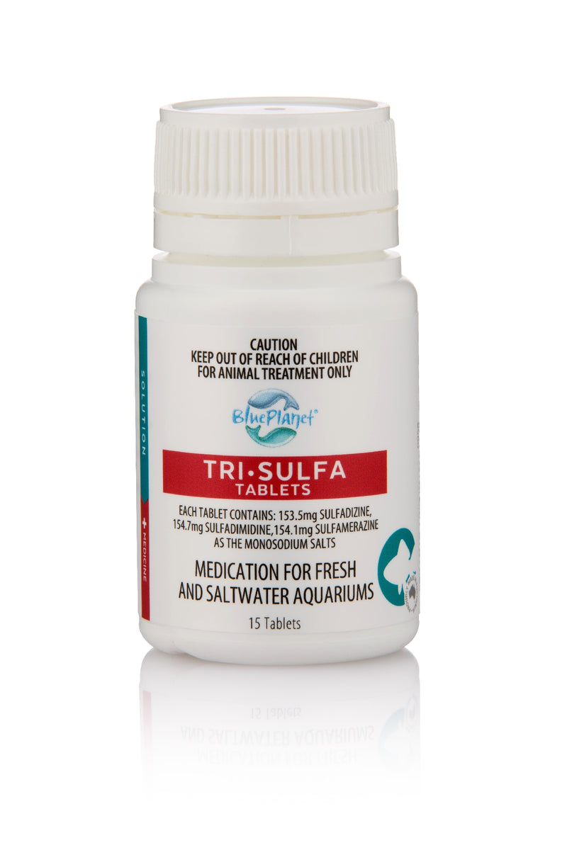 BLUE PLANET TRI SULFA – Head to Tail Pets