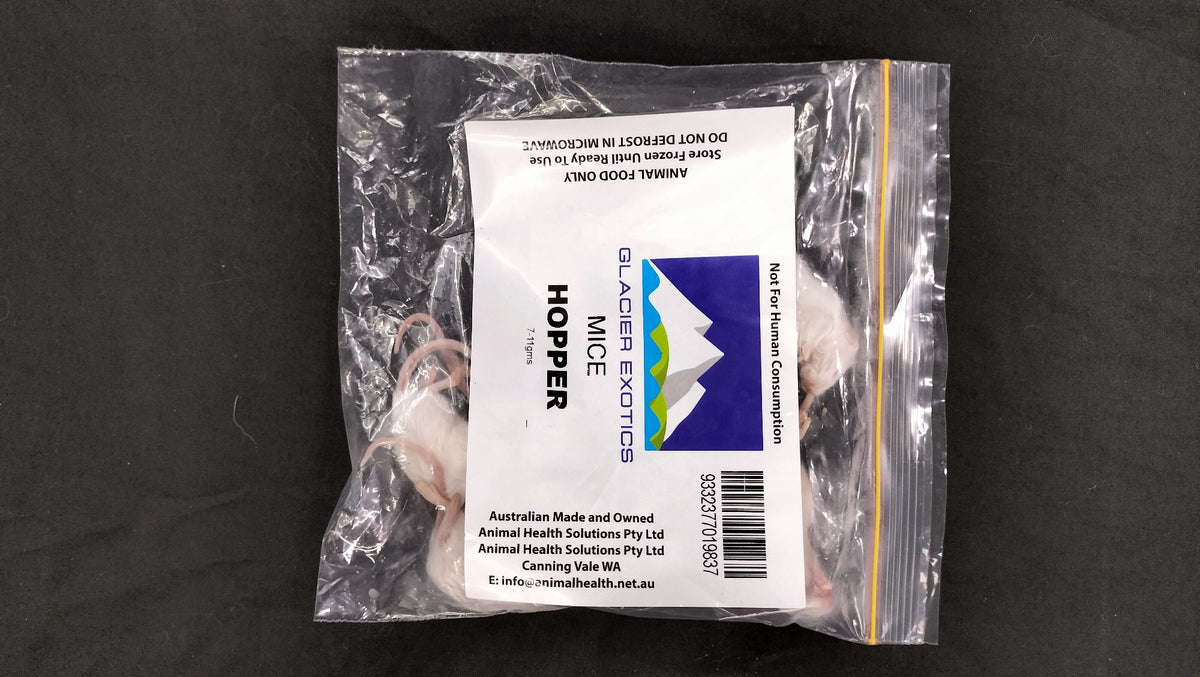 GLACIER EXOTICS FROZEN MICE HOPPER (7-11G) 5 PACK – Head to Tail Pets