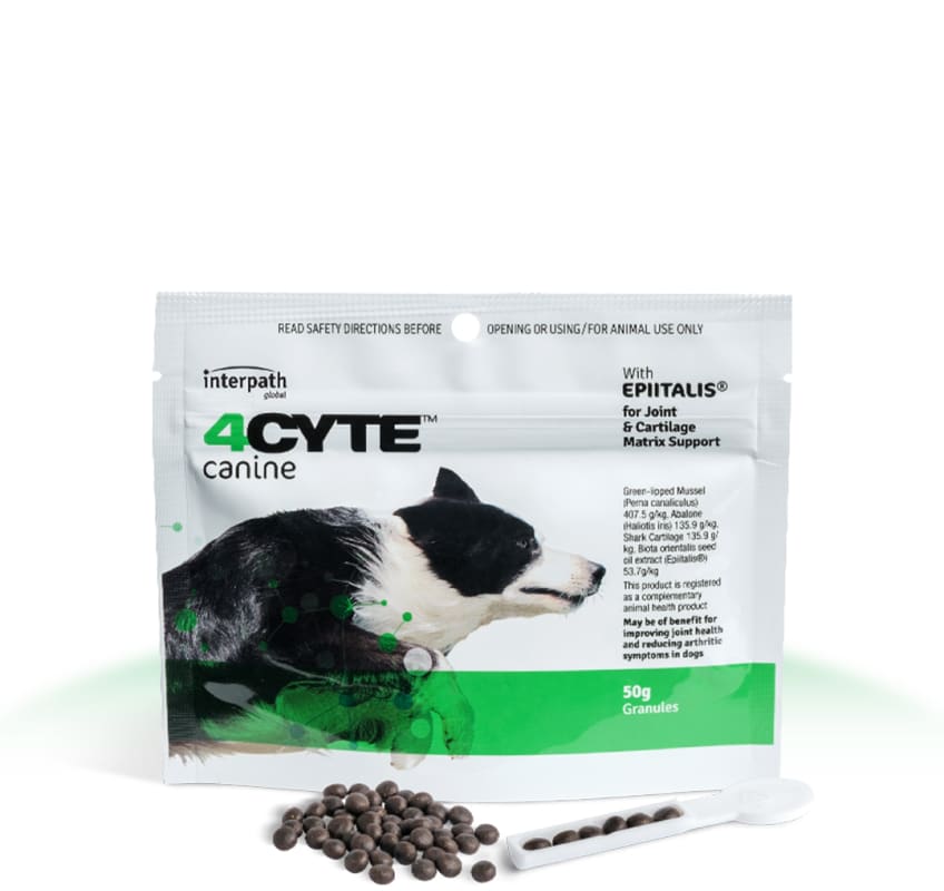 4CYTE CANINE ORAL JOINT SUPPLEMENT – Head to Tail Pets