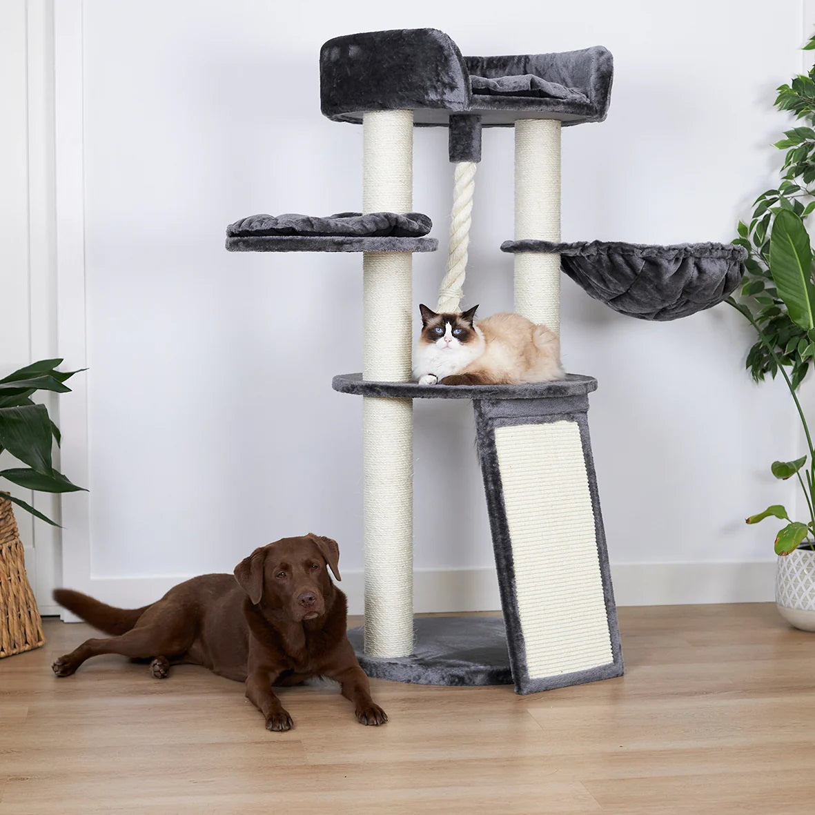 KAZOO CAT SCRATCHER KITTY SCRATCH & SLEEP CREAM (BOXED) – Head to Tail Pets