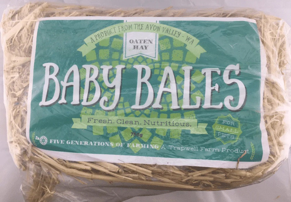 BABY BALE HAY OATEN 20L – Head to Tail Pets
