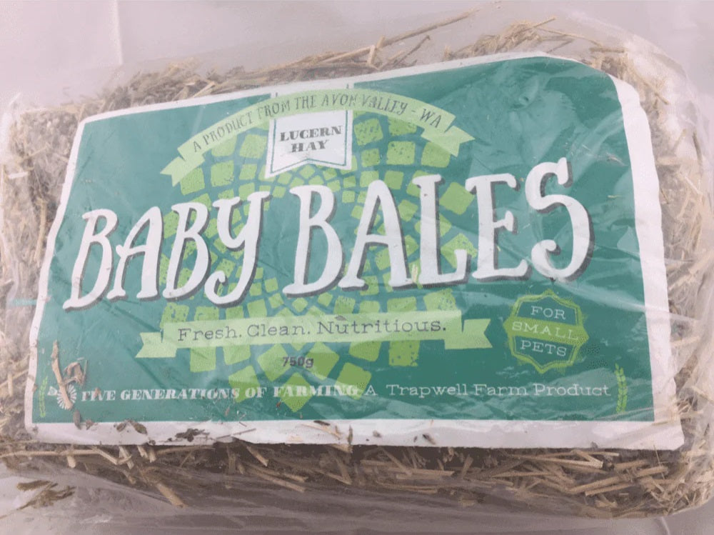 BABY BALE HAY LUCERNE 20L – Head to Tail Pets