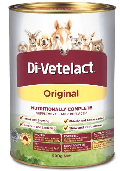 DIVETELACT – Head to Tail Pets